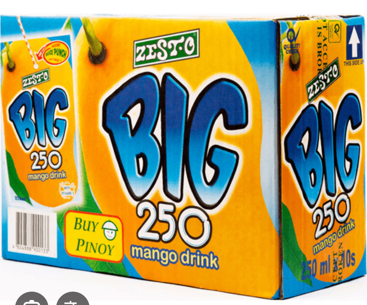 BIG 250 MANGO JUICE 10/250ML – Pinoy Store Online